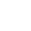 Dicex